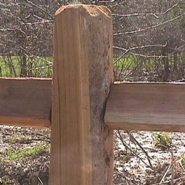 Cedar Split Rail Fencing - Weekes Forest Products